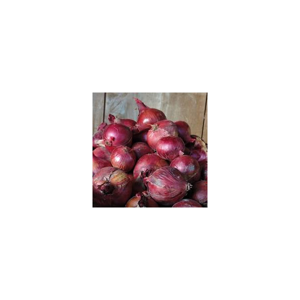 OIGNONS ROUGES BIO 3KG